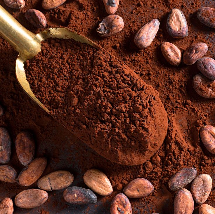 The Amazing Health Benefits of Cocoa Powder | RPG Industries